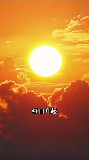 红日视频图标