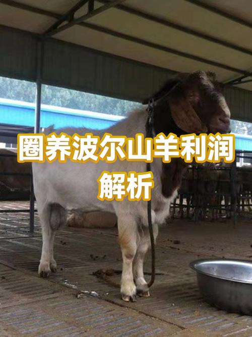 纯圈养山羊有利润吗图标