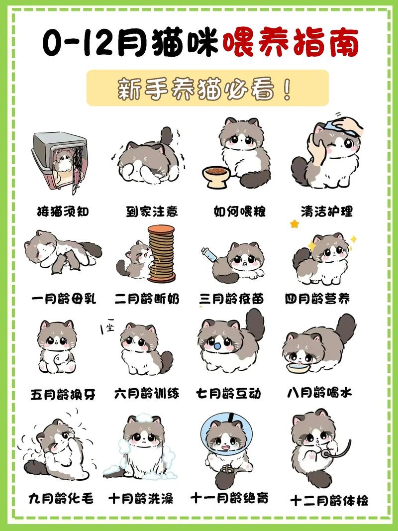 开店适合养什么宠物图标