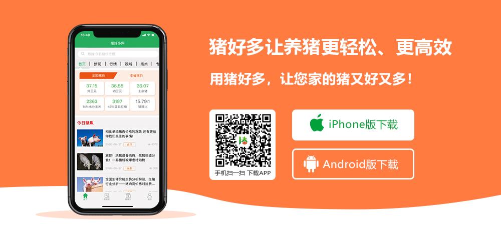 养猪猪app图标