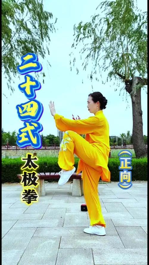 免费下载24式太极拳图标