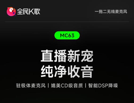 全民k歌手机麦克风使用方法缩略图