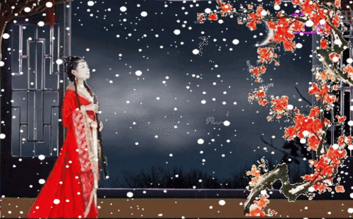 梅花欣赏视频图标