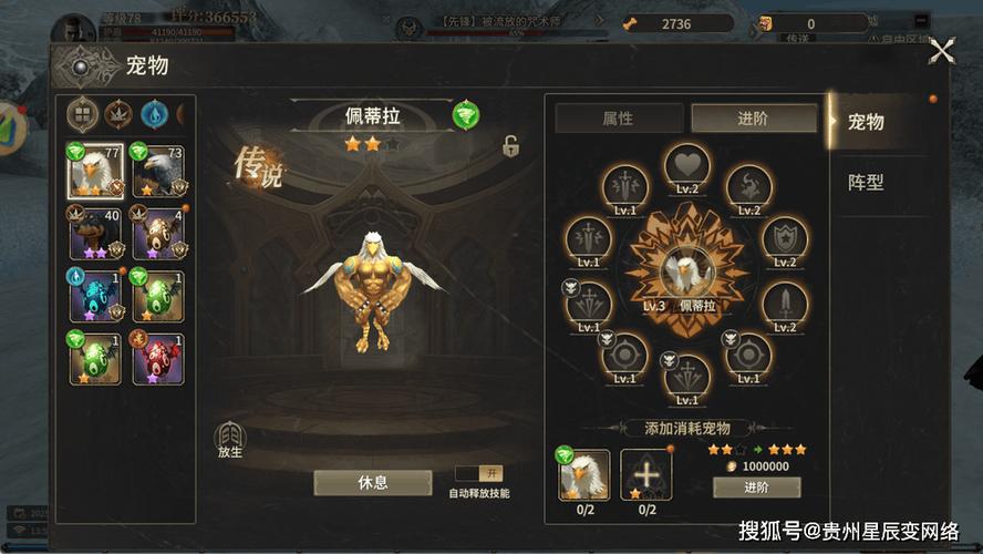怎么获得奇迹宠物进化石图标