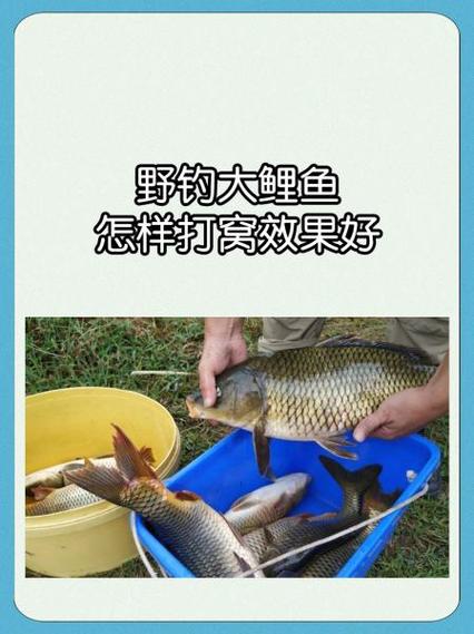 野钓鲤鱼打窝多久才能钓鱼图标