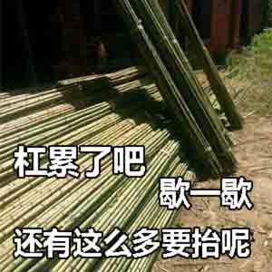 讽刺杠精的表情包截图