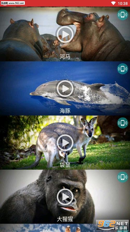 奇异社区4.1.0版本下载最新更新内容图标
