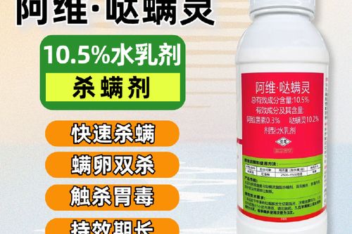 打蜘蛛用什么药效果好图标
