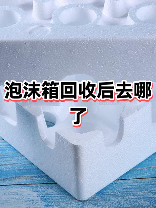 快递单号回收后去哪了图标