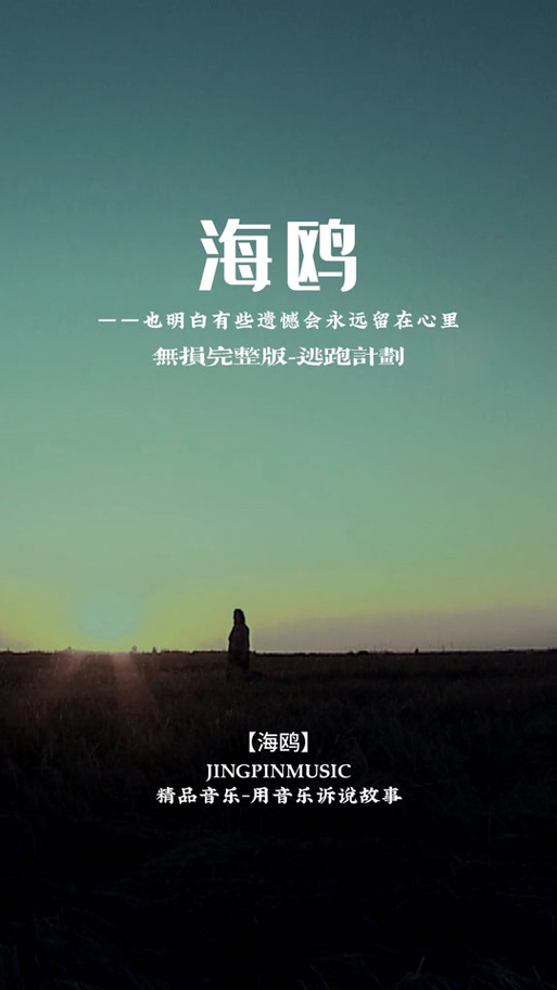 海鸥怎么播放手机音乐截图