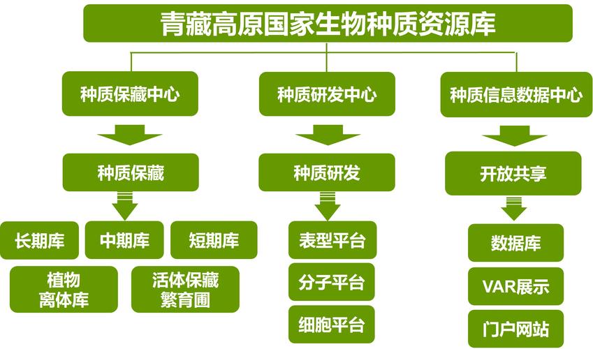 绿色资源库图标