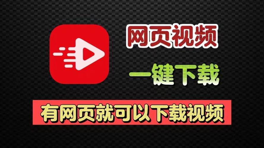 网页视频提取器(免费)图标