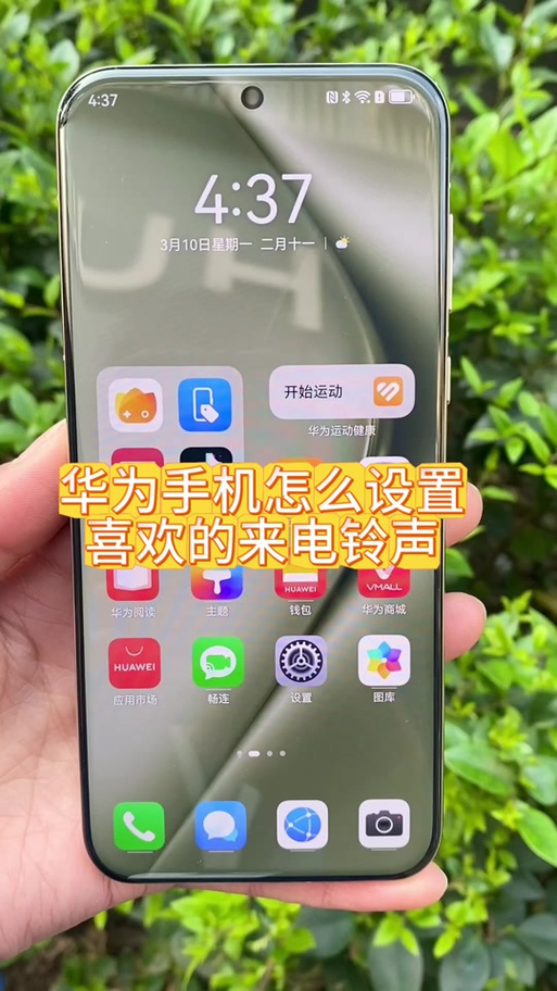 华为手机音质怎么调图标