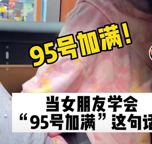 95新是什么意思图标