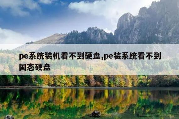 pe进入看不到固态硬盘图标