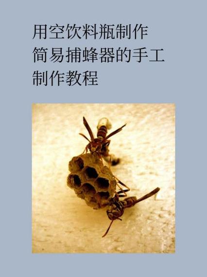 手工蜂窝怎么做图标