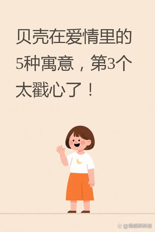 贝壳暗示什么爱情暗示图标