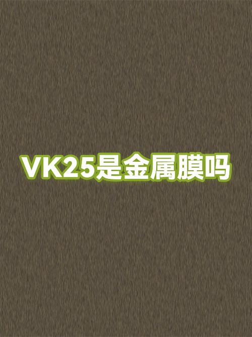 vk到底是什么意思图标