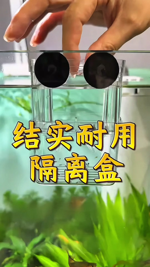 vivo手机隔离箱在哪里图标