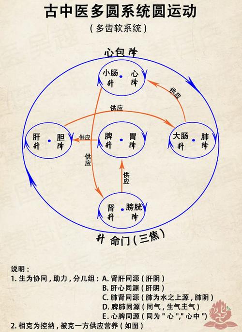 黄帝内经查阅app截图