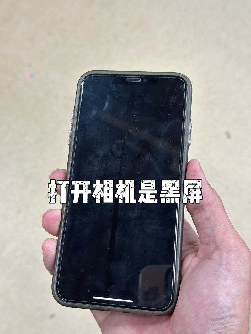 苹果相机一倍黑屏二倍正常