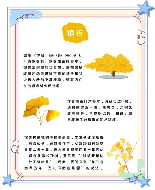 银杏叶文献查询网站截图