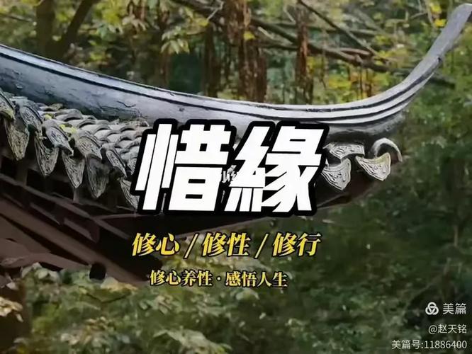 惜缘歌词全文图标