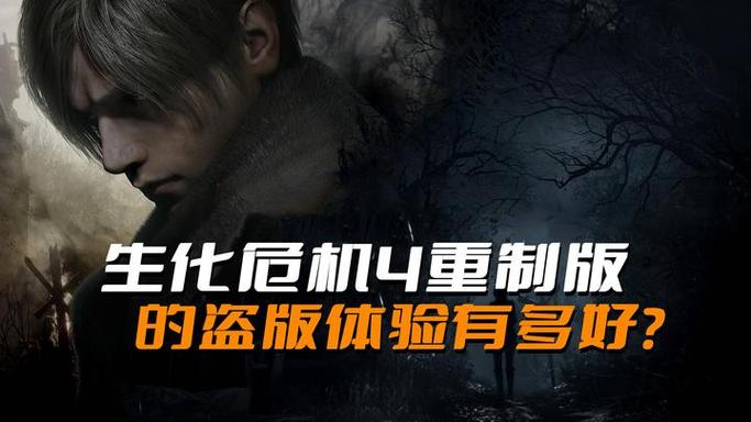 生化危机4高清重制版4帧数低图标