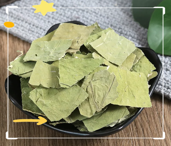 荷叶有何功效图标