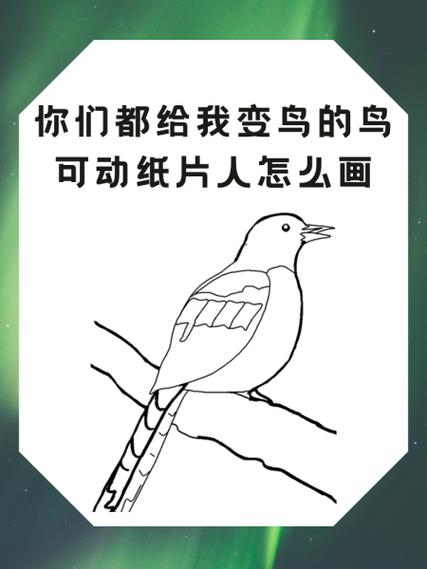 小纸鸟为什么乱飞图标
