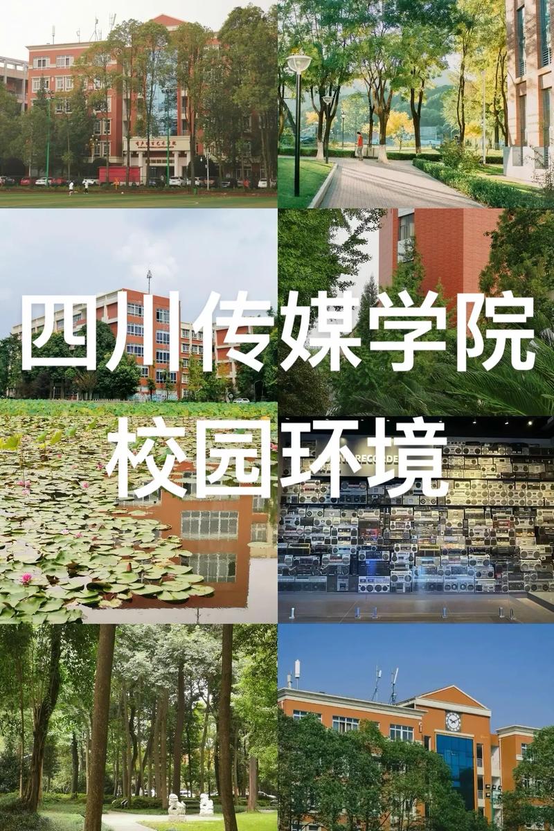 四川映日文化传媒图标