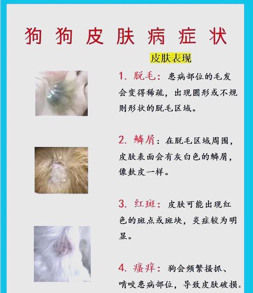 狗癣最简单的土方法缩略图
