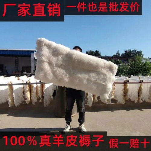 羊皮去毛最快的方法截图