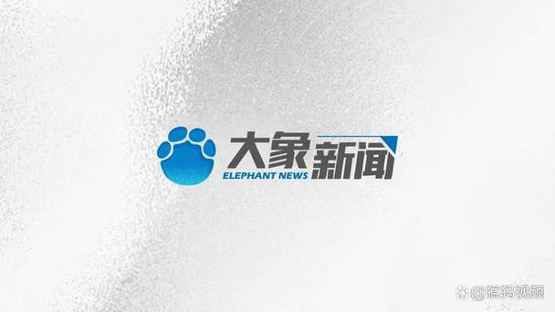 大象新闻官方网站图标