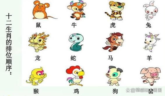 华夏区块鼠
