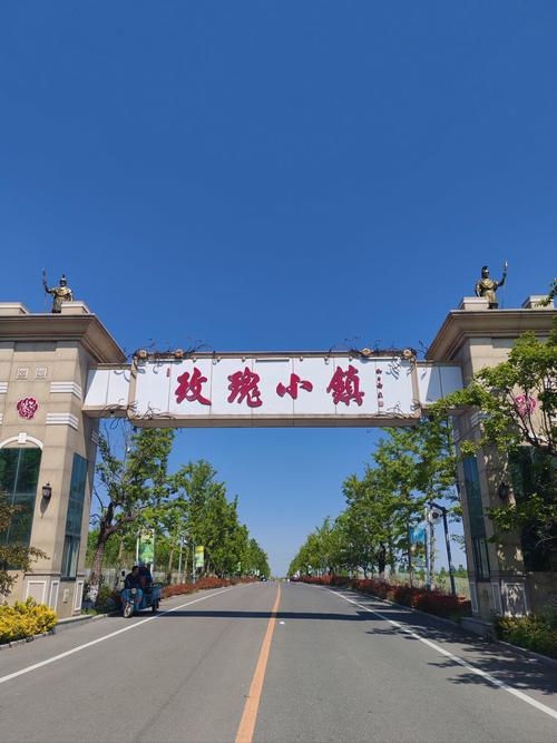 玫瑰小镇摇钱树攻略