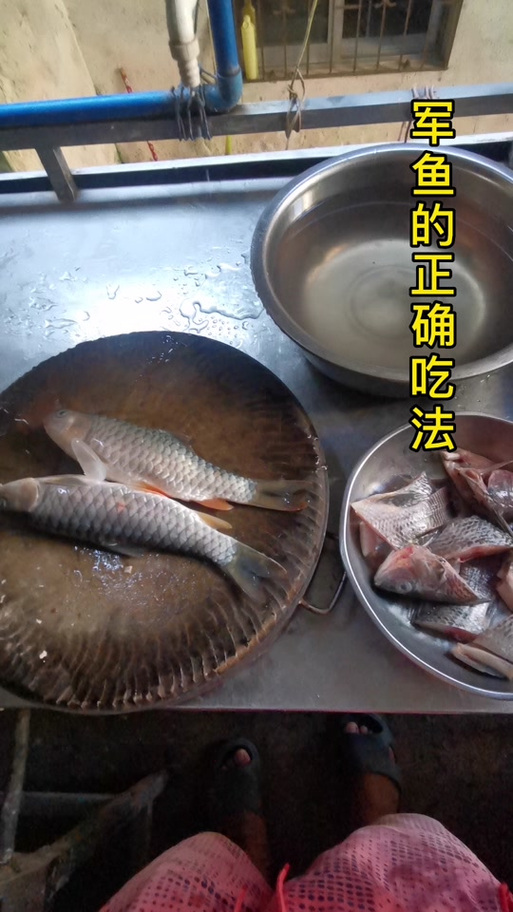 军鱼可以吃吗图标