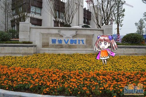 到晋愉v时代