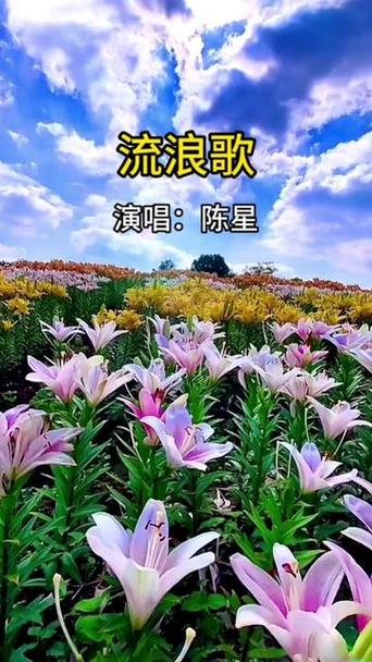 流浪歌原唱图标