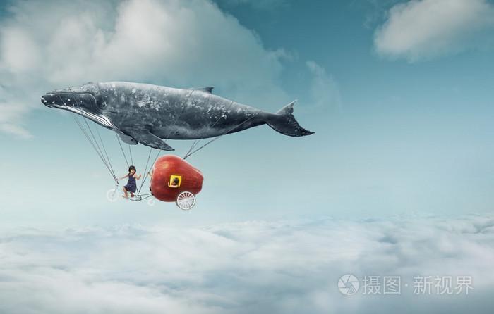 鲸看看苹果下载安装图标