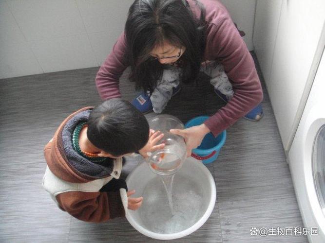 养金鱼多长时间换一次水图标