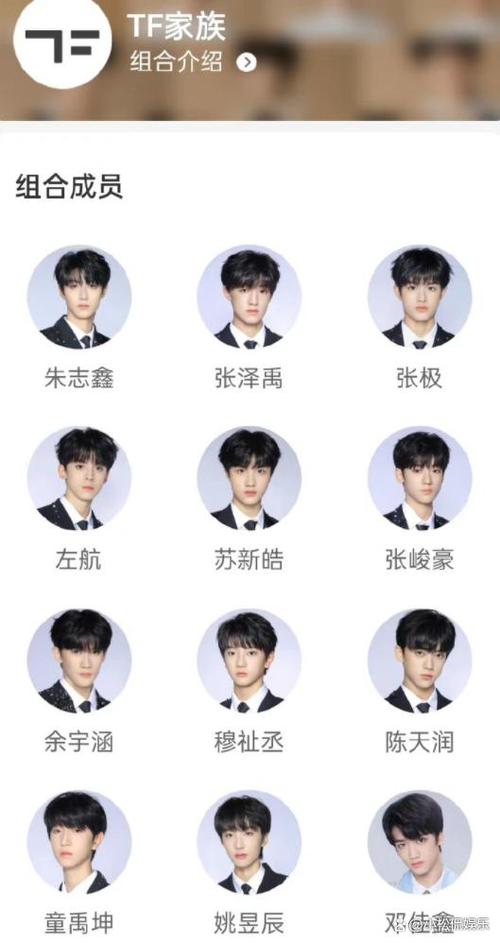 tf家族三代介绍