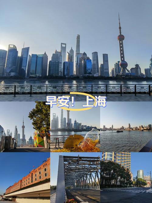上海交友app图标