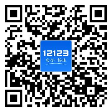 交管12123App图标