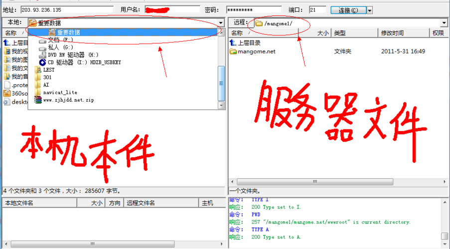 ftp登录不上怎么办图标