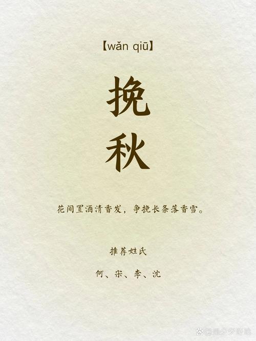 挽秋同款名字