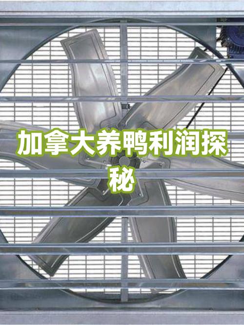 养鸭的成本与利润图标