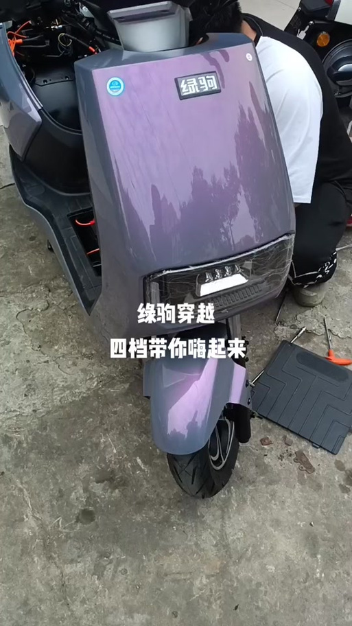 绿驹电瓶车怎么调四档图标