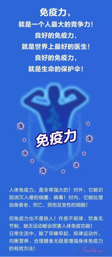 增强免疫力的最佳方法图标