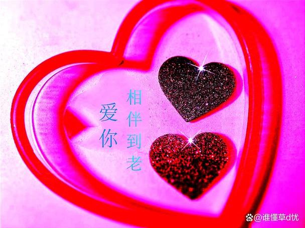 心心相伴下一句图标